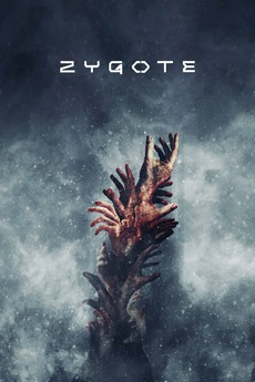 zygote 2017