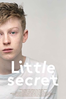 ‎Little Secret (2013) directed by Martin Krejčí • Reviews, film + cast ...