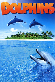 ‎Dolphins (2000) directed by Greg MacGillivray • Reviews, film + cast ...