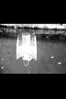 ‎Disturbances (1974) directed by Joan Jonas • Reviews, film + cast ...