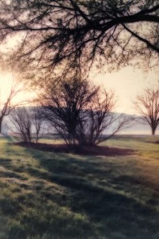 ‎Agora (1992) directed by Donald Kinney, Robert Kinney • Film + cast ...