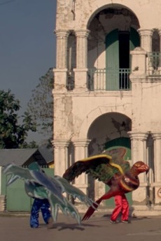 ‎Ὄρνιθες - Ornithes (2012) directed by Gabriel Abrantes • Reviews, film ...