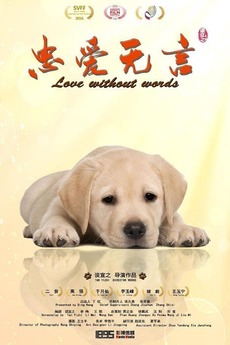 ‎Love without Words (2017) • Reviews, film + cast • Letterboxd