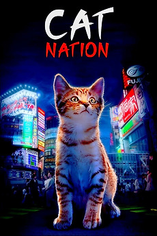 ‎Cat Nation (2017) directed by Tim Delmastro, Cassandra Delmastro ...