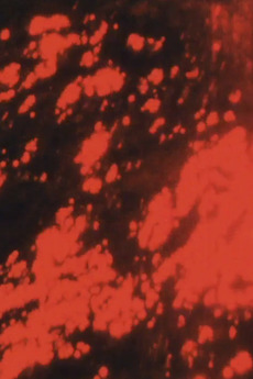 ‎The Red Sea (1992) directed by Michael Maziere • Reviews, film + cast ...