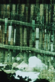 ‎The Loom (1986) directed by Stan Brakhage • Reviews, film + cast ...