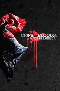 ‎Crips and Bloods: Made in America (2008) directed by Stacy Peralta • Reviews, film + cast ...
