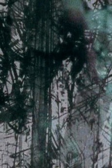 ‎Surfacing (2004) directed by Barbara Sternberg • Reviews, film + cast ...