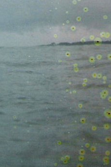 ‎Film for Invisible Ink case no. 71: BASE-PLUS-FOG (2006) directed by ...