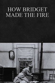 How Bridget Made the Fire’ review by Hanna • Letterboxd