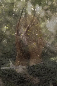 ‎to turn over in one's mind (2017) directed by James Slaymaker, Eli ...