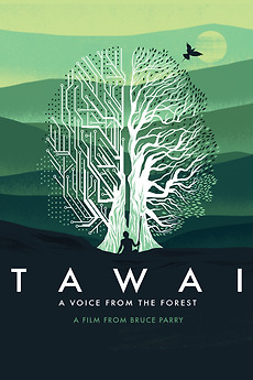 ‎Tawai: A Voice from the Forest (2017) directed by Bruce Parry, Mark ...