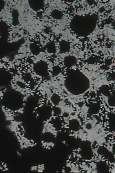 ‎One (1998) directed by Fred Worden • Reviews, film + cast • Letterboxd