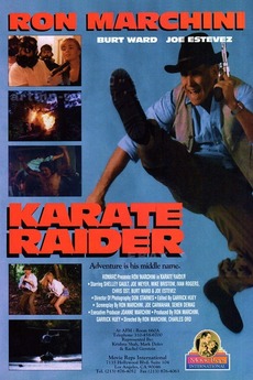 ‎Karate Raider (1995) directed by Charlie Ordoñez, Ronald L. Marchini ...