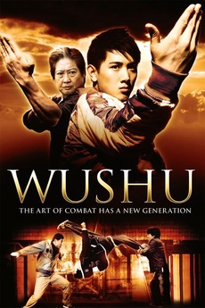 ‎Wushu (2008) directed by Dennis Chan Kwok-San, Antony Szeto et al ...
