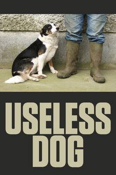 ‎Useless Dog (2004) directed by Ken Wardrop • Reviews, film + cast ...