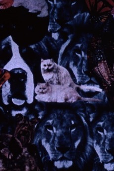 ‎You're Not Real Pretty but You're Mine... (1968) directed by Frank ...