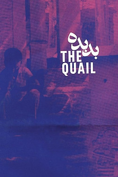 ‎The Quail: The Tale of a Boy Who Asks (1970) directed by Mohammad Reza ...