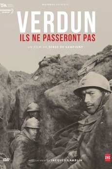 ‎Verdun - They will not pass! (2014) directed by Serge de Sampigny ...