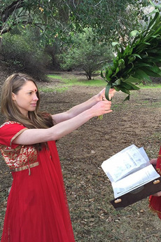 ‎Operation Baby (2016) directed by Sharath Chandra • Film + cast ...