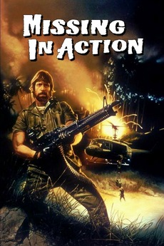 missing in action logo