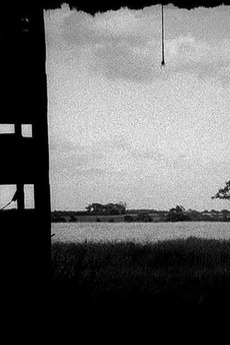 ‎Barn (1978) directed by Guy Sherwin • Reviews, film + cast • Letterboxd