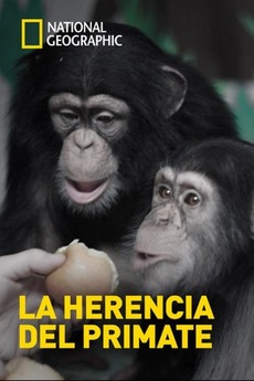 ‎The Human Ape (2009) directed by Martin Gorst • Film + cast • Letterboxd