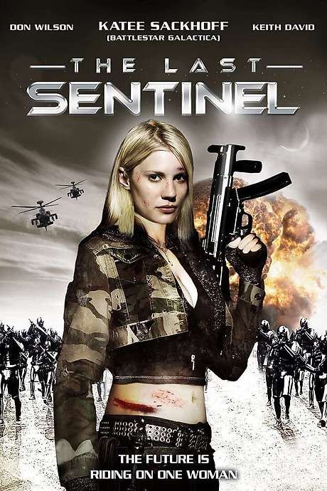 ‎The Last Sentinel (2007) directed by Jesse V. Johnson • Reviews, film ...