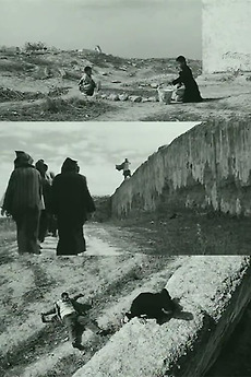 ‎The Cliff (1999) directed by Faouzi Bensaïdi • Reviews, film + cast ...