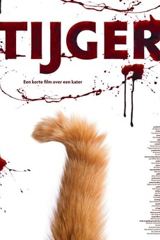 ‎Tijger (2011) directed by Martijn Hullegie • Film + cast • Letterboxd