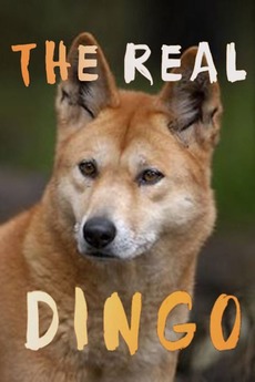 ‎The real Dingo (2013) • Film + cast • Letterboxd