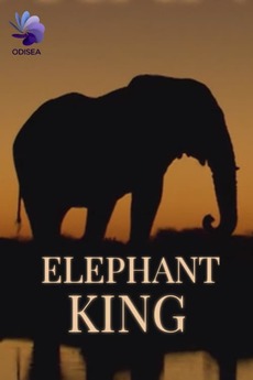 ‎Elephant King (2013) • Reviews, film + cast • Letterboxd