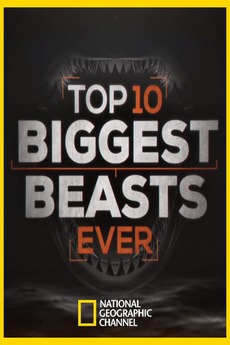 ‎Top 10 biggest beast ever (2015) • Film + cast • Letterboxd