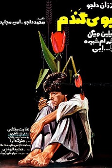 ‎Scent of Wheat (1977) directed by Farzan Deljou, Amir Mojahed • Film ...