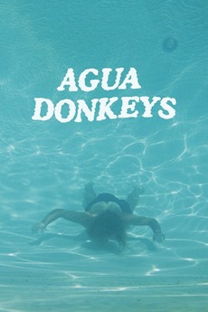 ‎Agua Donkeys (2018) directed by MP Cunningham • Reviews, film + cast ...