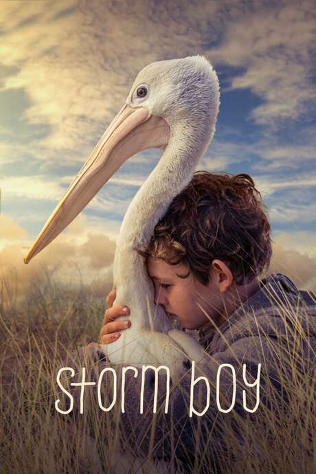 ‎Storm Boy (2019) directed by Shawn Seet • Reviews, film + cast ...