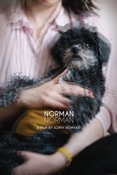 ‎Norman Norman (2018) directed by Sophy Romvari • Reviews, film + cast ...