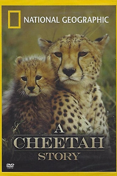 ‎Cheetah Story (1999) directed by Hugo van Lawick • Film + cast ...