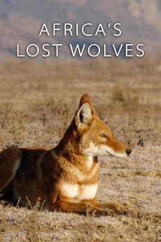 ‎Africa's Lost Wolves (2016) • Film + cast • Letterboxd