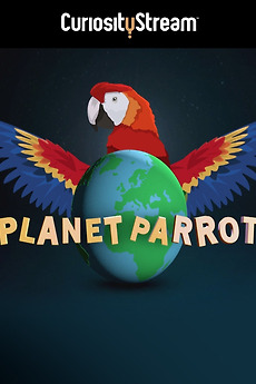 ‎Planet Parrot (2012) directed by Matt Hamilton • Reviews, film + cast ...