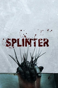 splinter 2008 budget