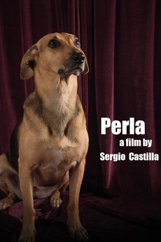 ‎Perla (2015) directed by Sergio M. Castilla • Reviews, film + cast ...
