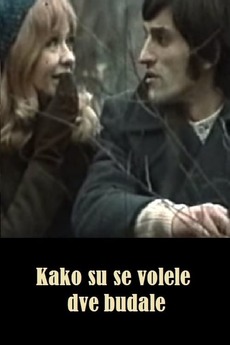 ‎How the Two Fools Loved Each Other (1972) directed by Aleksandar ...