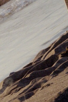 ‎Double Ghosts (2018) directed by George Clark • Reviews, film + cast • Letterboxd