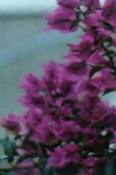 ‎Spetsai (1989) directed by Yann Beauvais • Reviews, film + cast ...