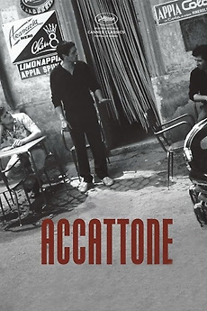 accattone criterion