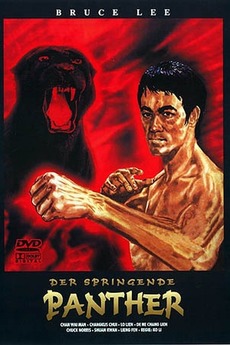 ‎The Fist of Justice (1973) directed by Kao Li • Reviews, film + cast ...