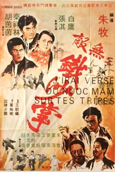 ‎The Invincible Iron Palm (1971) directed by Chu Mu • Reviews, film ...