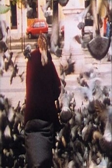 ‎American International Pictures (1997) directed by Vivian Ostrovsky ...