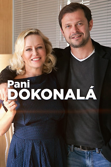 ‎Pani Dokonalá (2018) directed by Martin Kazimír • Reviews, film + cast ...